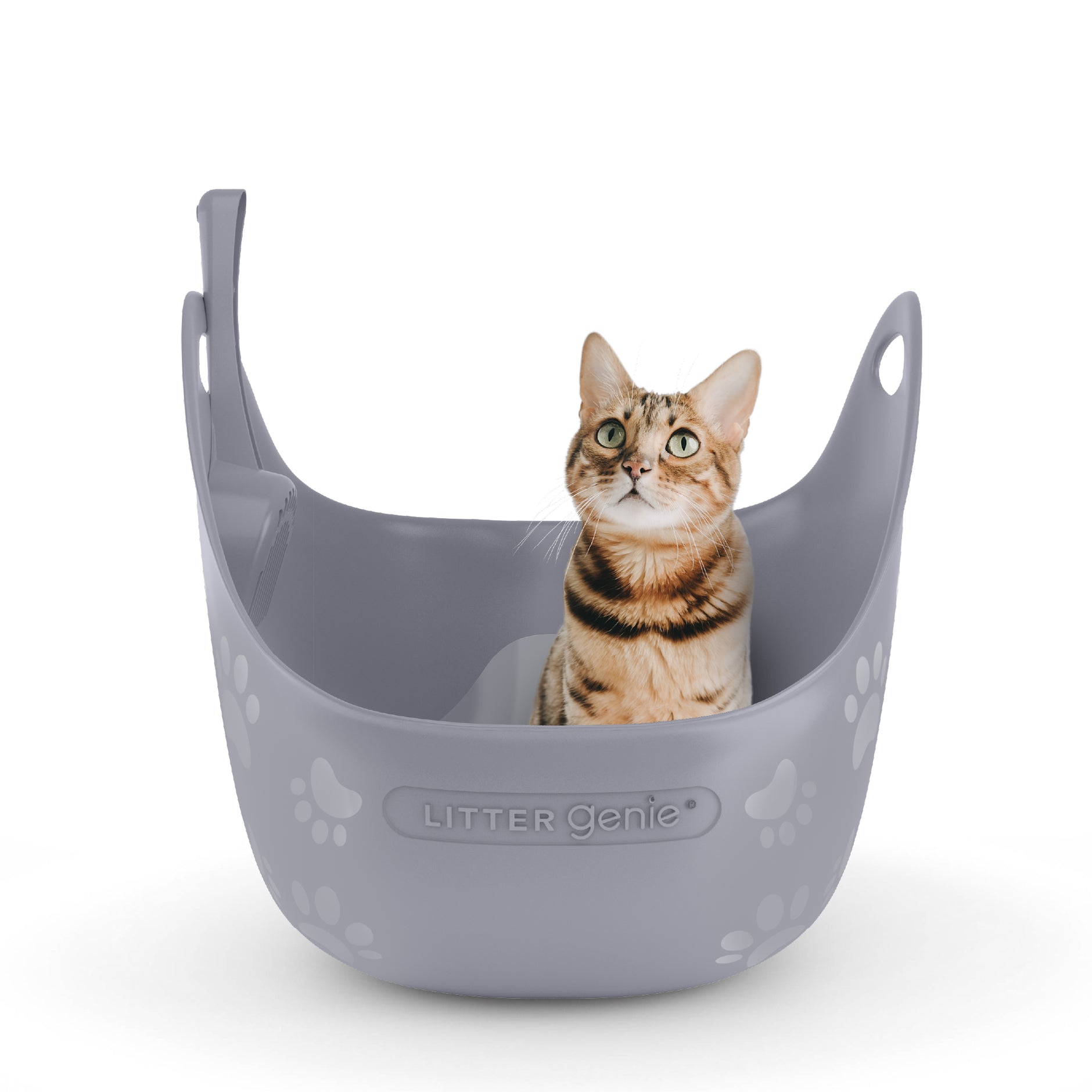Cat litter genie store